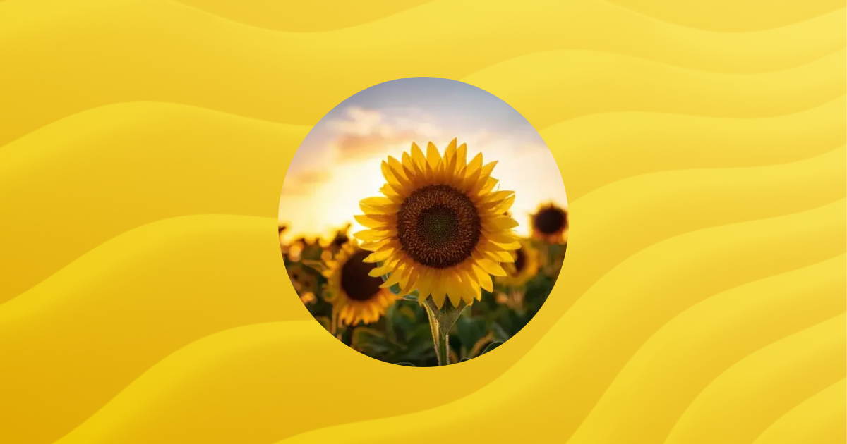 sunflower1230900's profile - Guilded