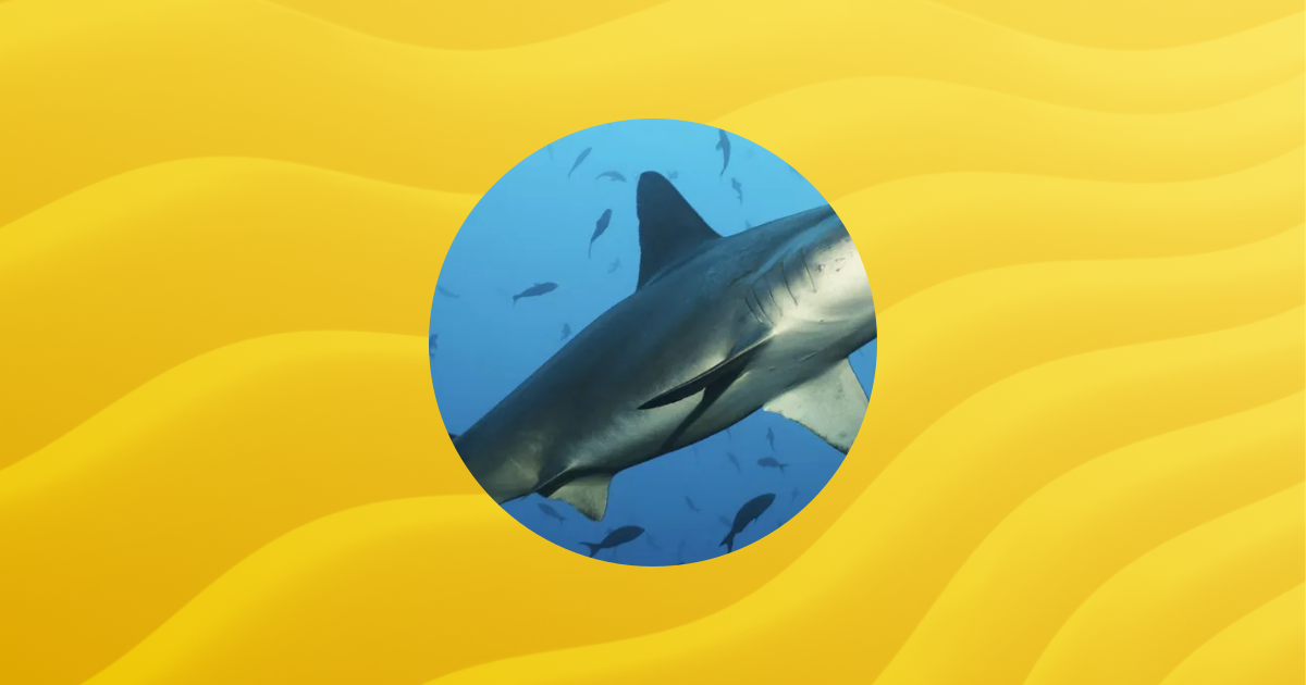 Cookie_Mustangs' games - Guilded