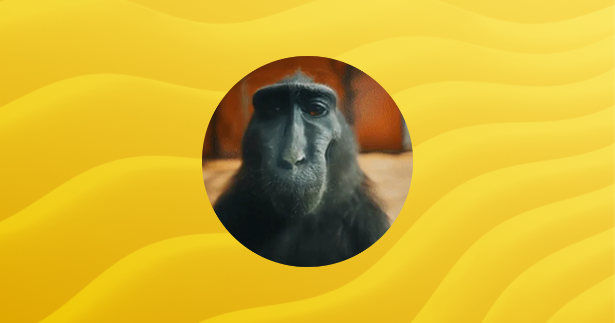 wedv27's profile - Guilded