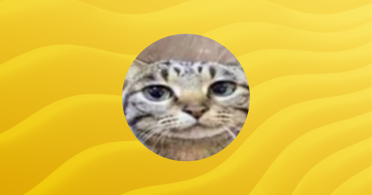 paticasero0's applications - Guilded