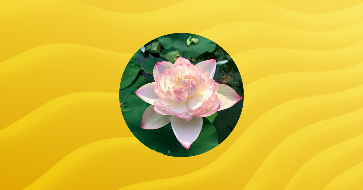 elenaa's games - Guilded