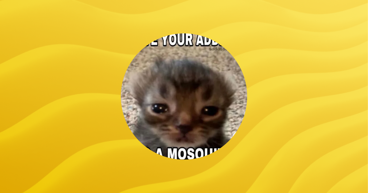 Sal_Rook's profile - Guilded