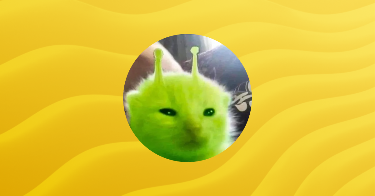 OX66ER's profile - Guilded