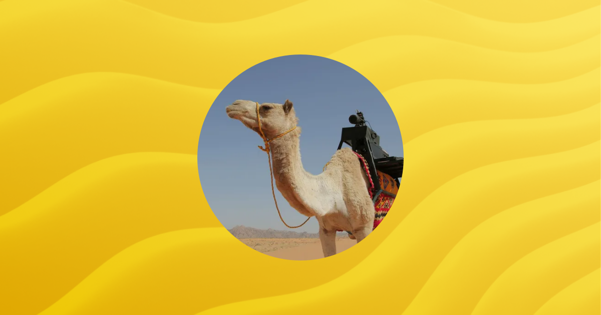 Muhammad's profile - Guilded