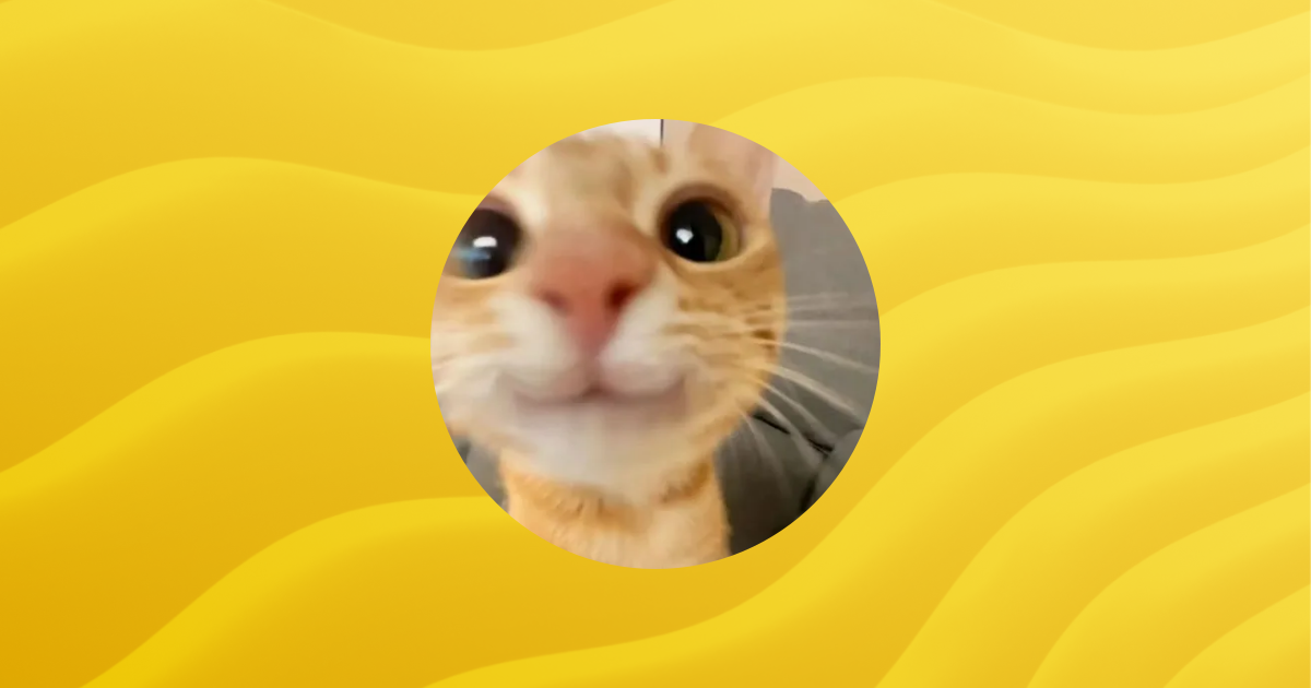 avz's profile - Guilded