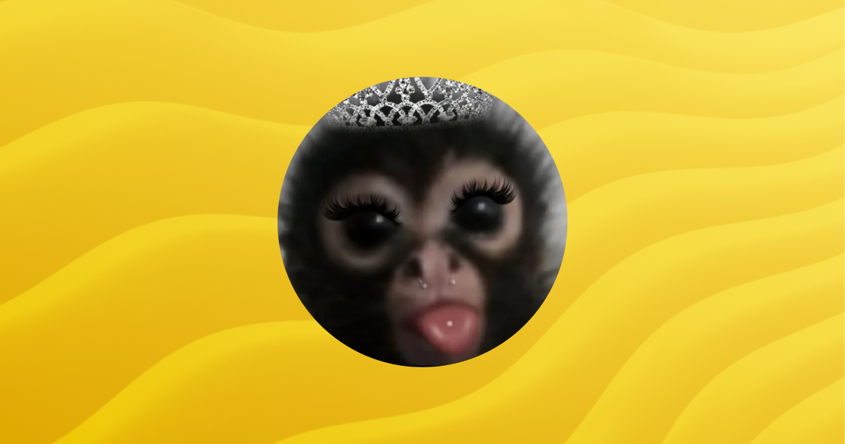 MONKEY's profile - Guilded