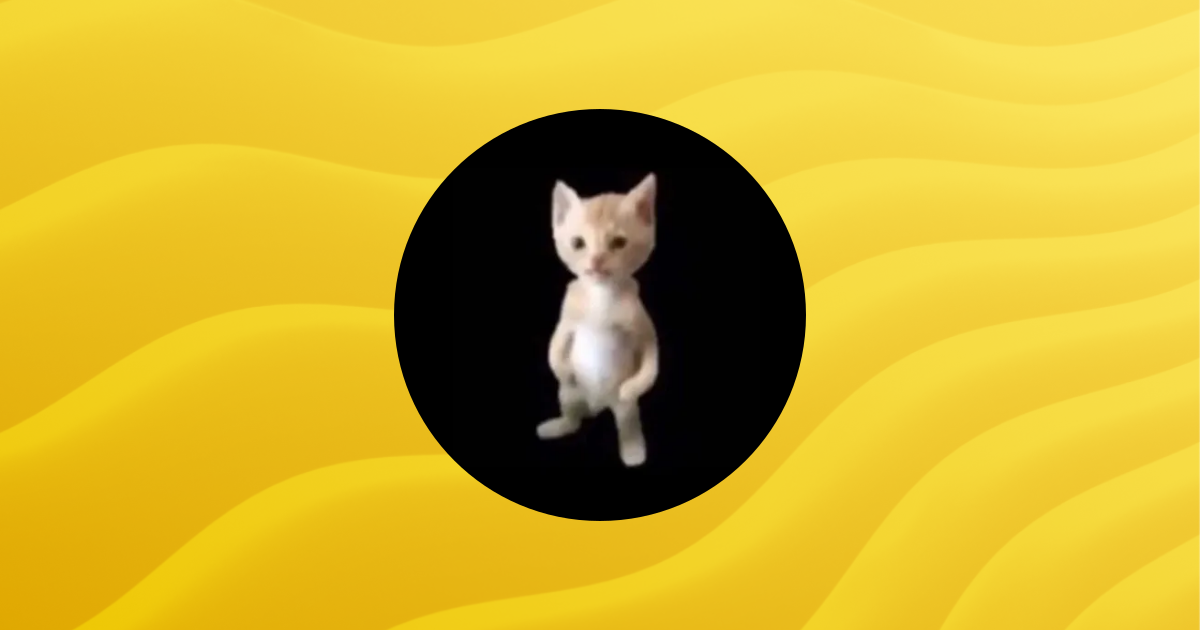 idk's applications - Guilded