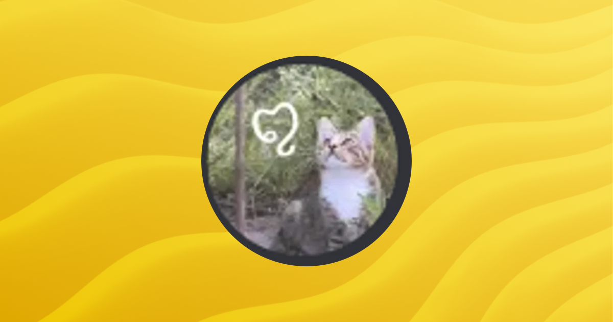 NotTheRealWSH's profile - Guilded