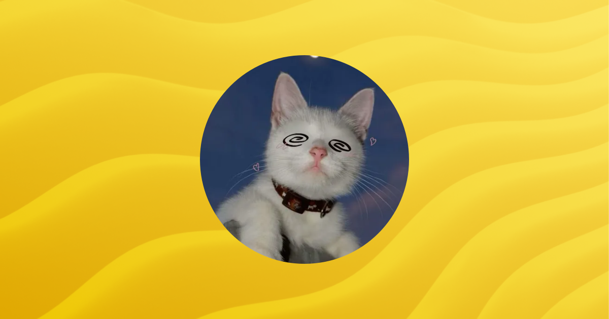 Quinn_WCUE's teams - Guilded