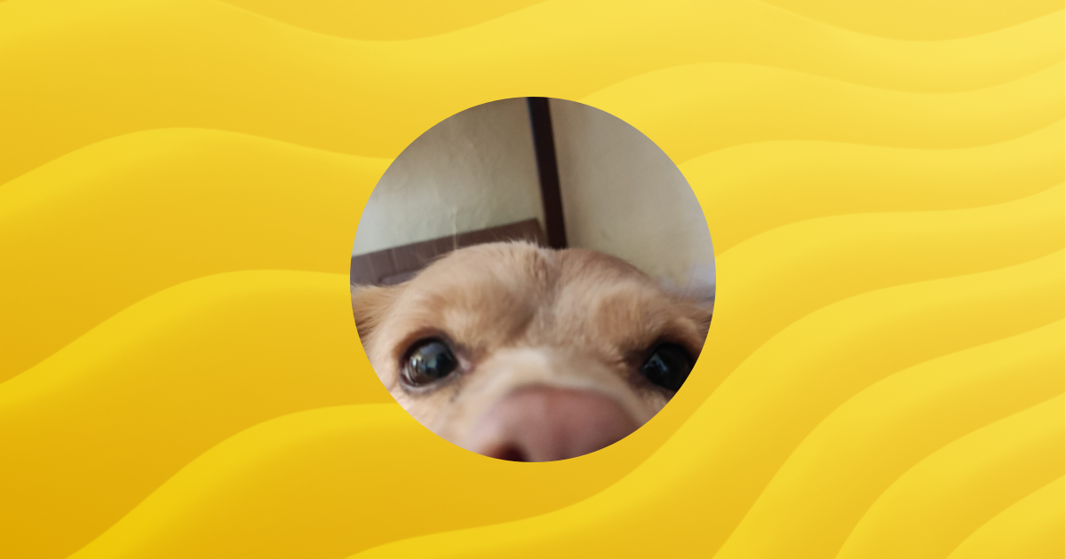 Alex's profile - Guilded