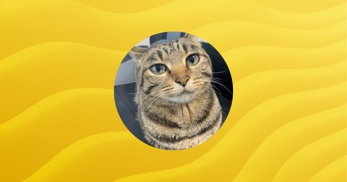 Water2Geeked's profile - Guilded