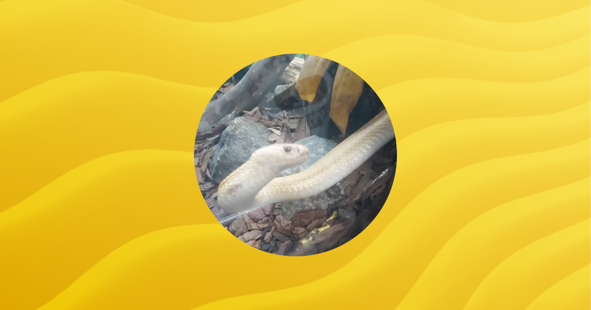 lua's profile - Guilded