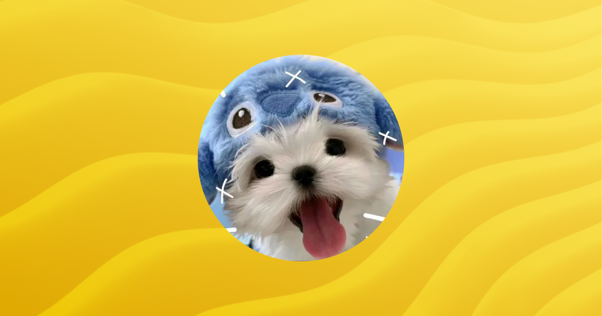 TvT's profile - Guilded