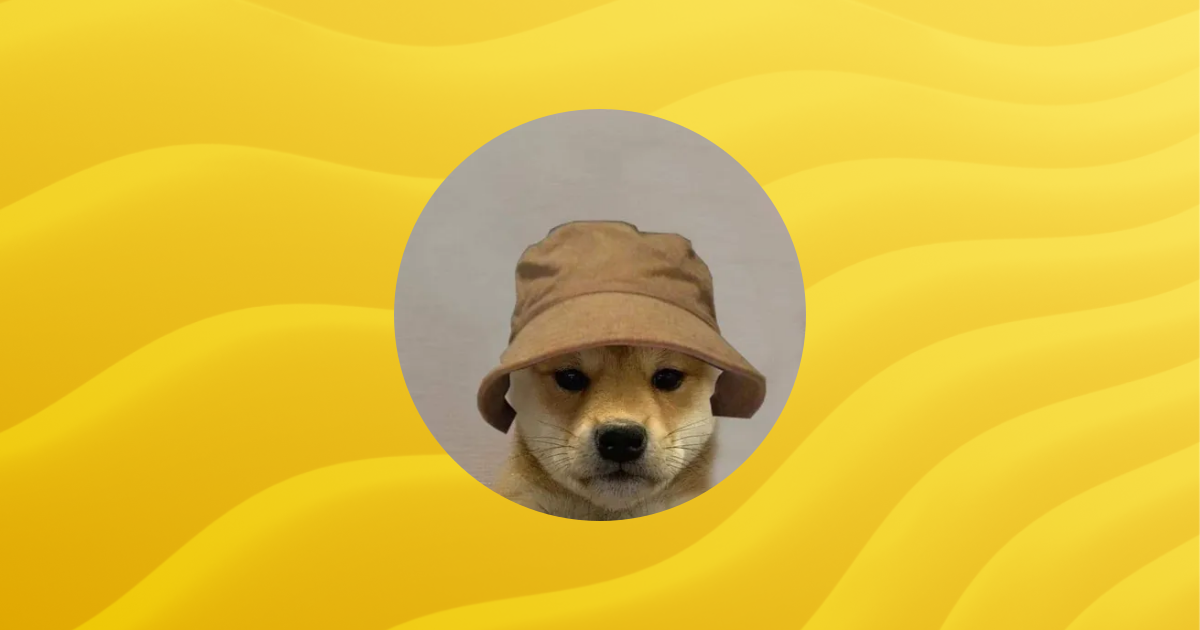 bingus wizard's profile - Guilded