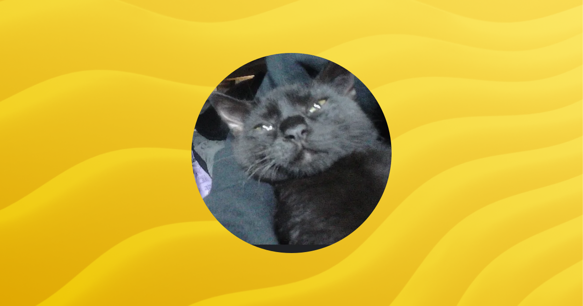 LTheconfusion's profile - Guilded