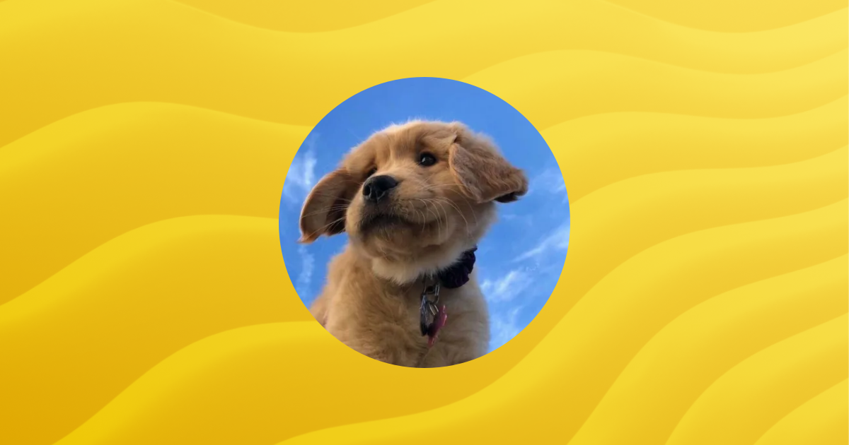 skLpi's games - Guilded