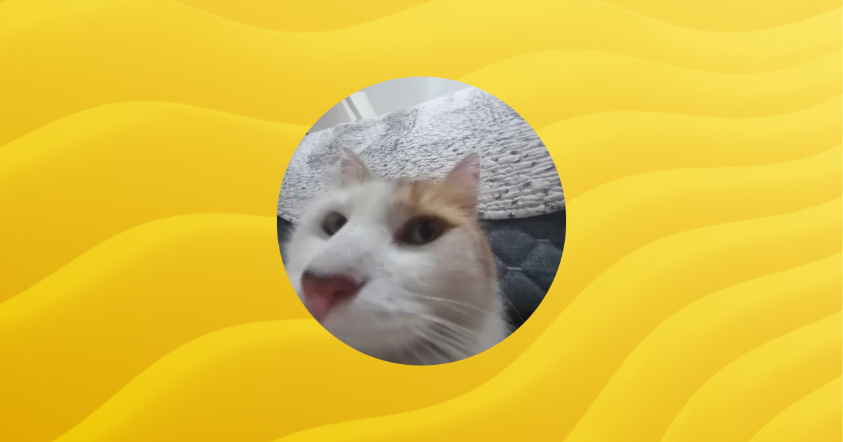 deleted user's profile - Guilded