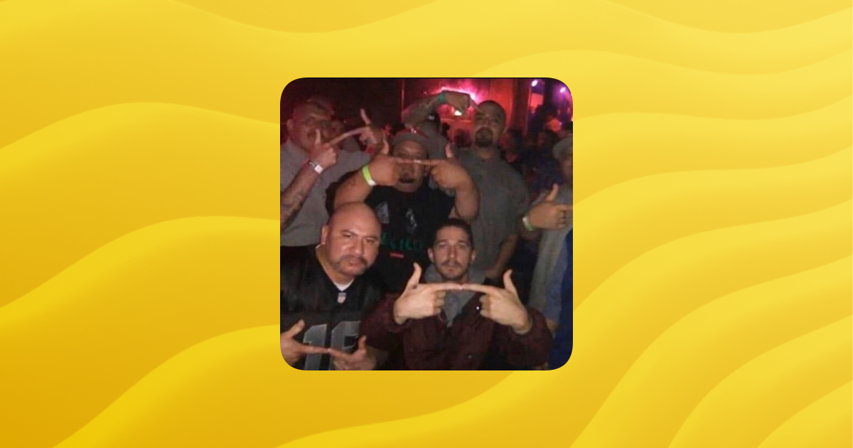 SHY KNIGHTS - Guilded