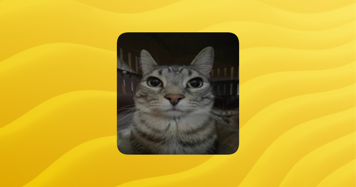 cat server - Guilded