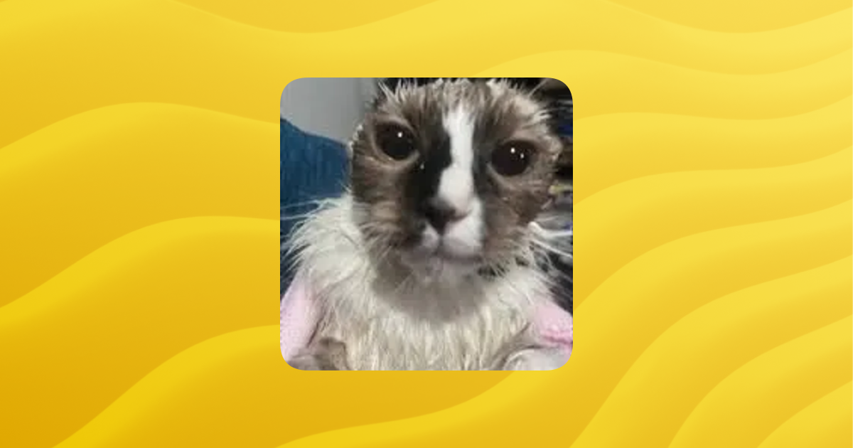 Overview - Drake - Guilded