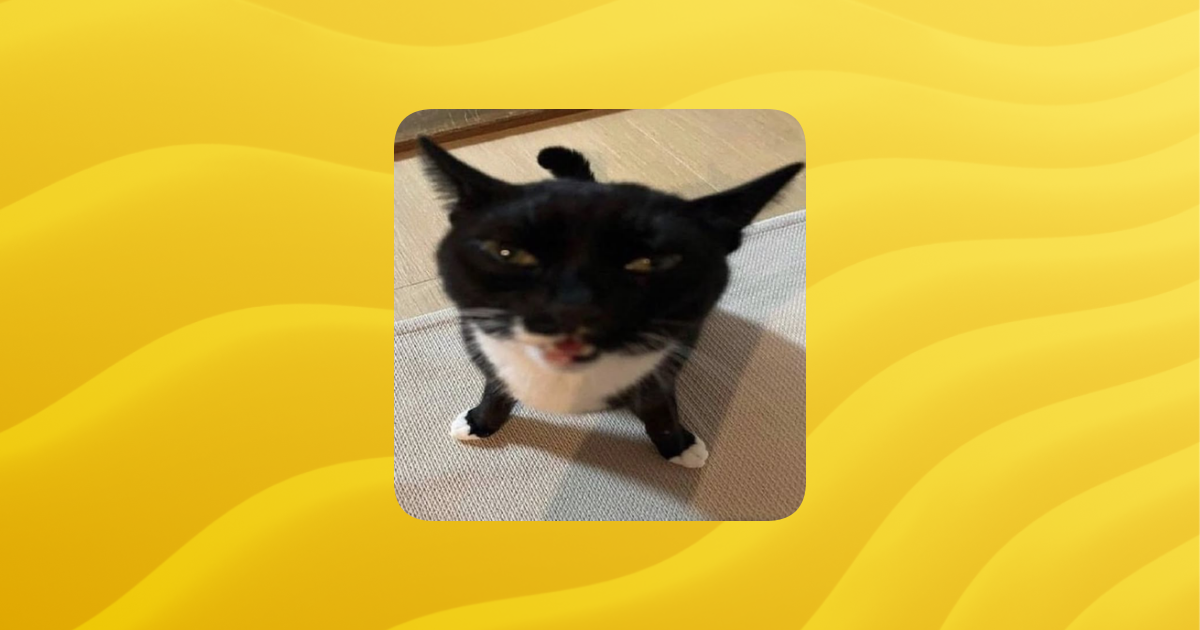 THE SILLY CATS - Guilded