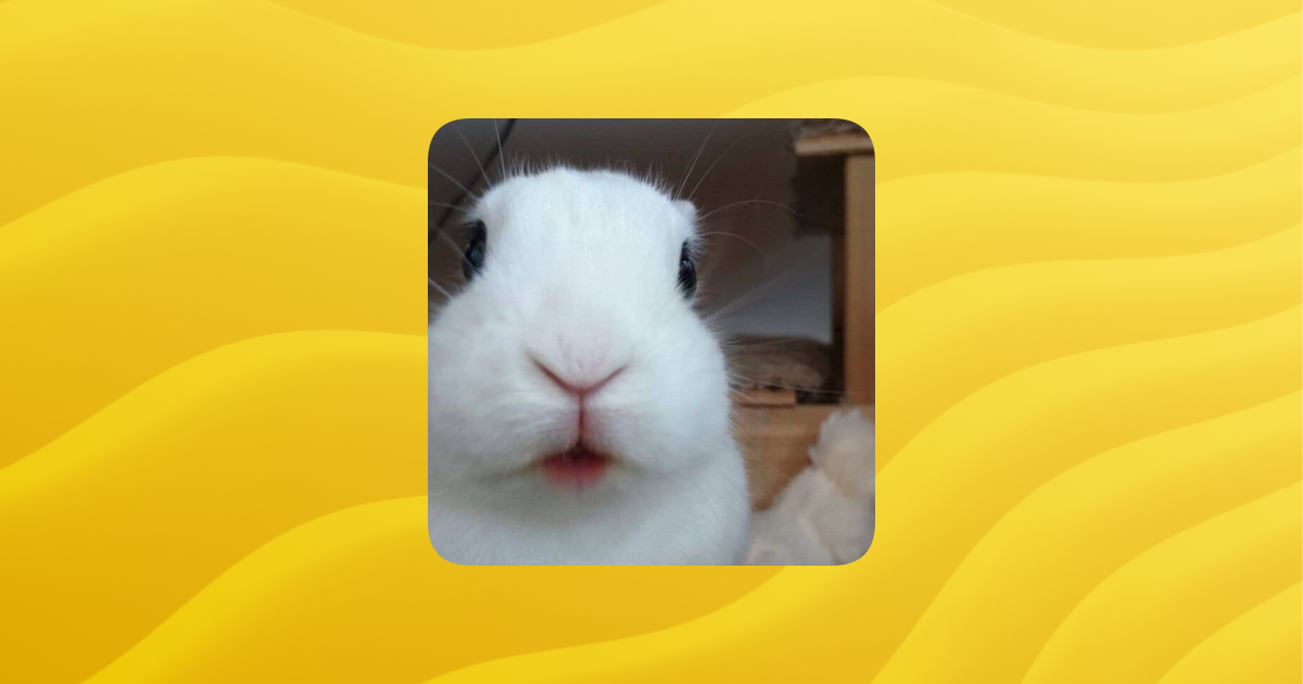 Overview - Erika - Guilded