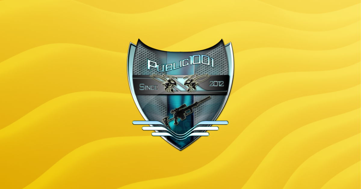 Overview - Public1001 - Guilded