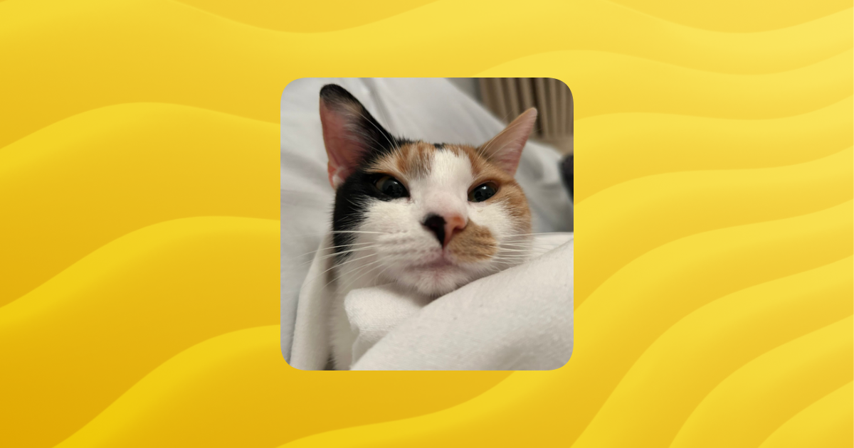 Overview - TPC Games - Guilded