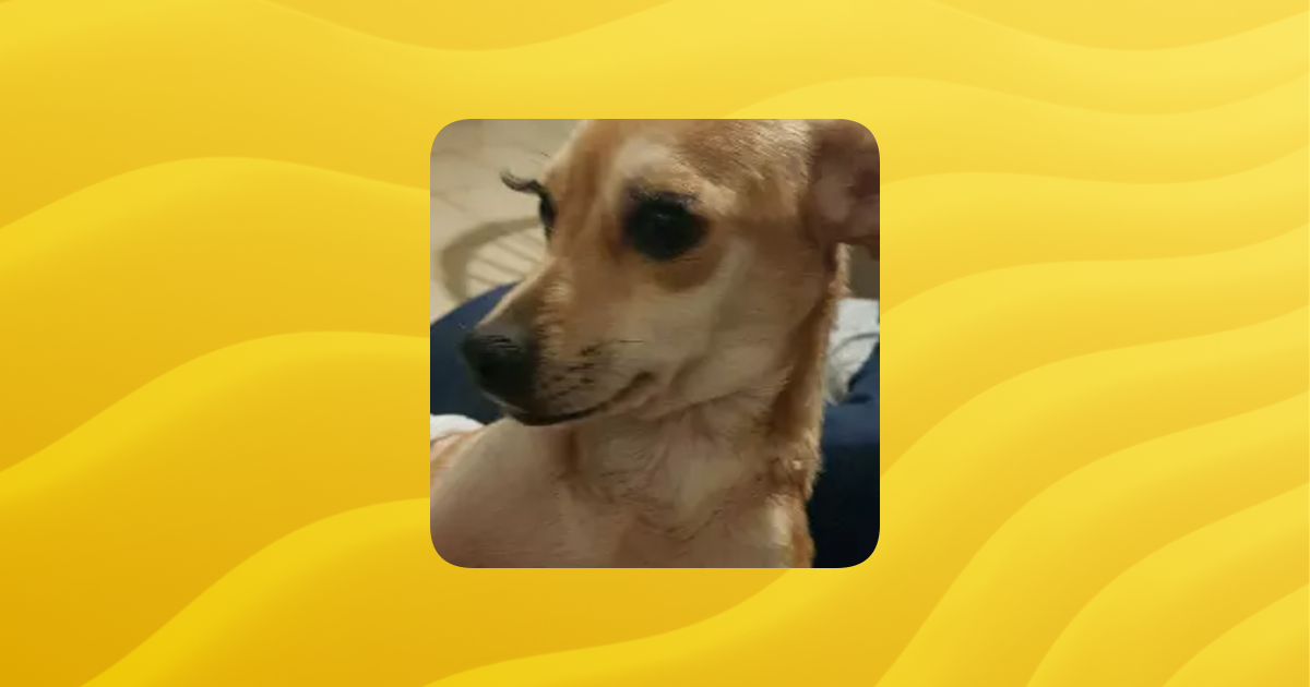 Overview - shrek - Guilded