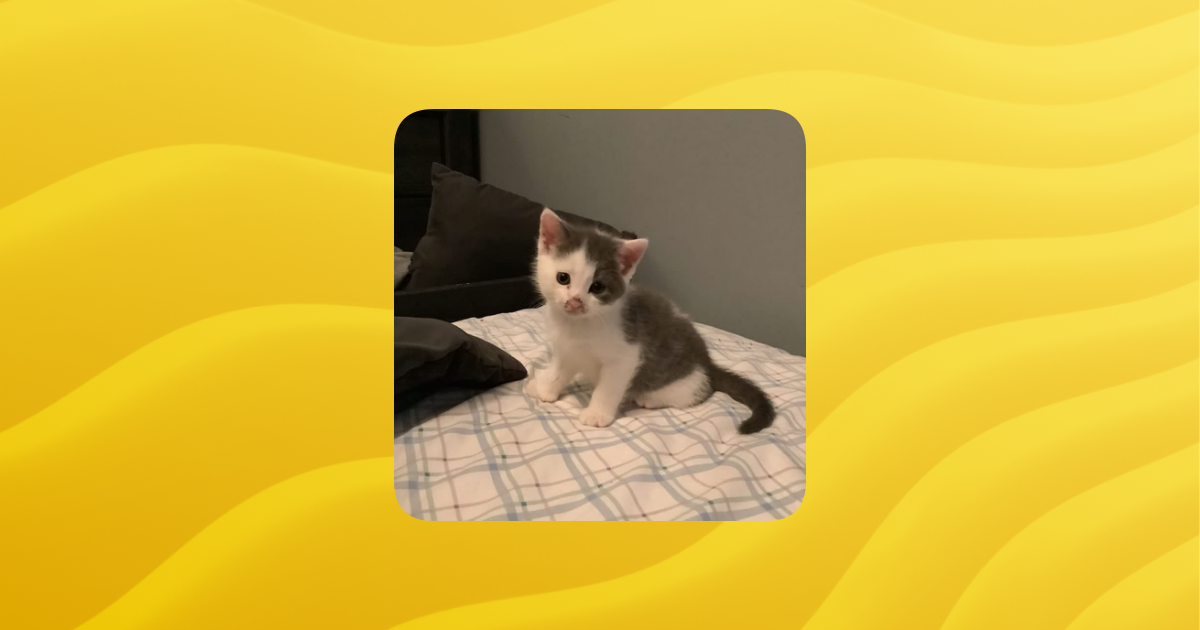 Overview - Transfer Server - Guilded