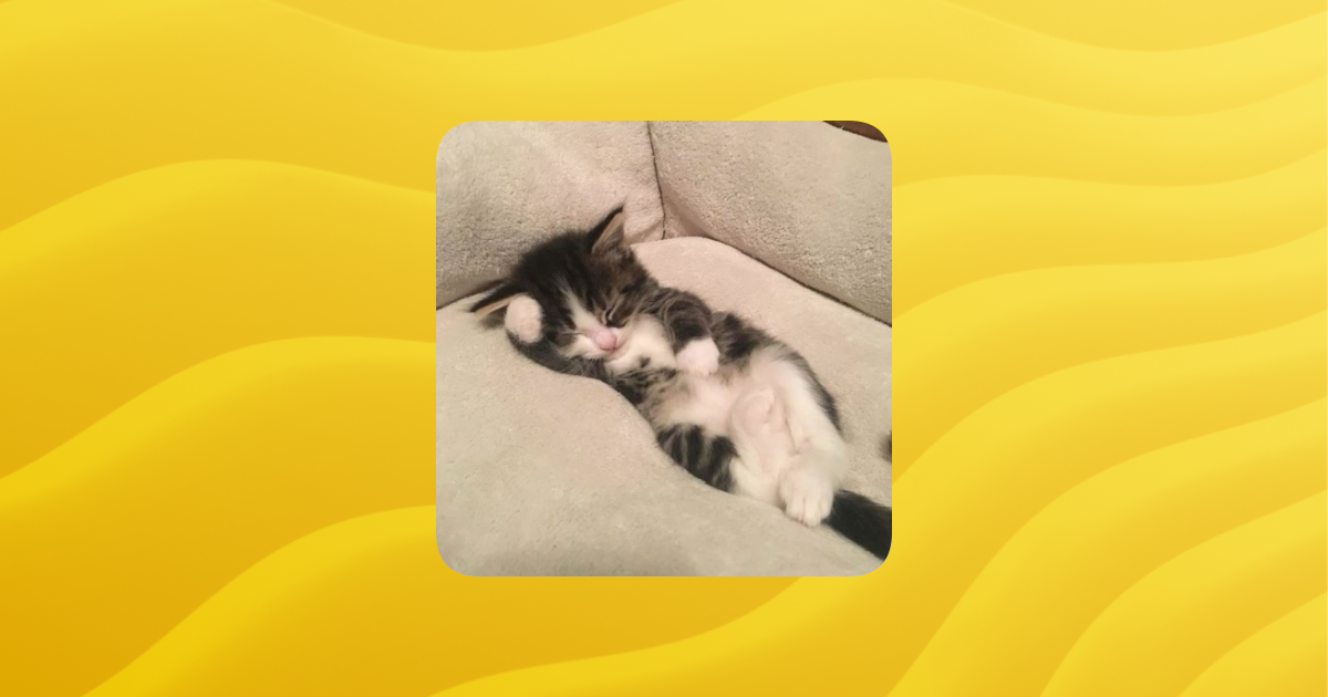 Overview - Kayla - Guilded