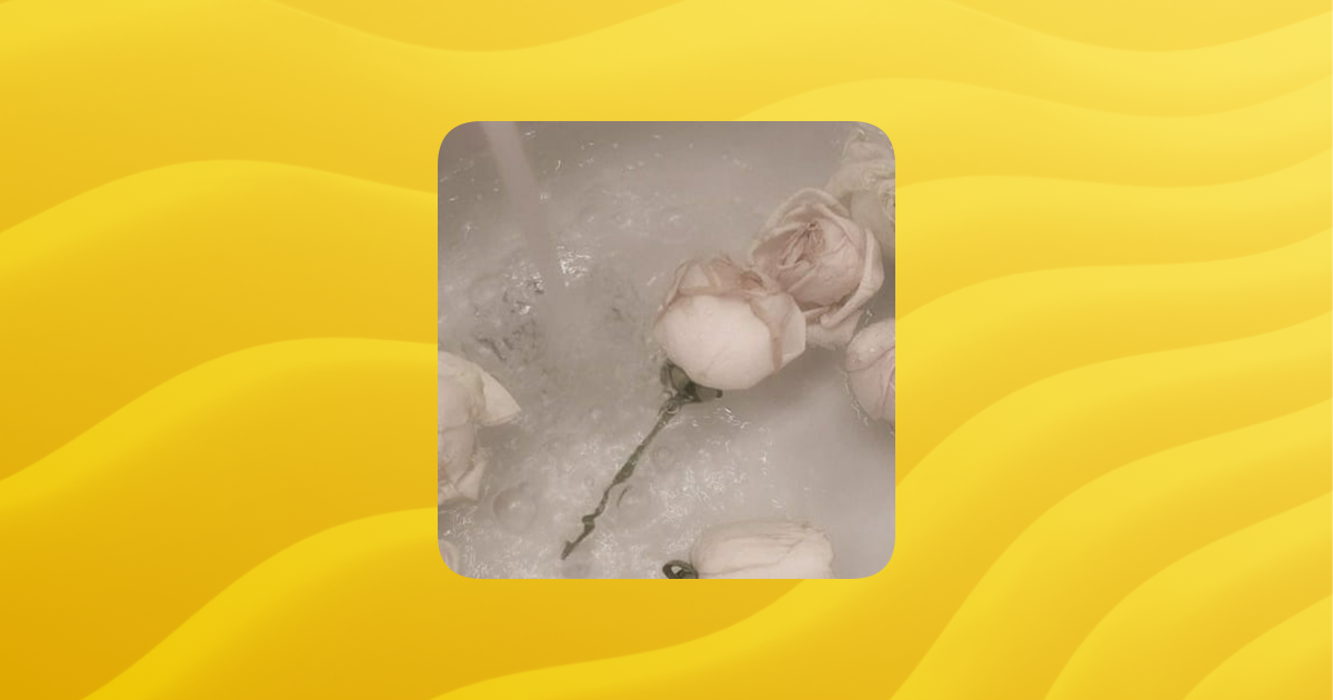 Roses - Members - Guilded