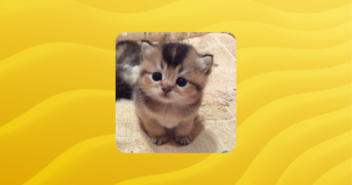 Working On a New Game. - Guilded news - Guilded