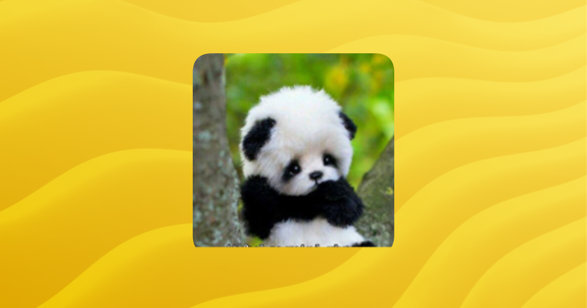 Welcome to Guilded! - Cuteness Panda Squad news - Guilded