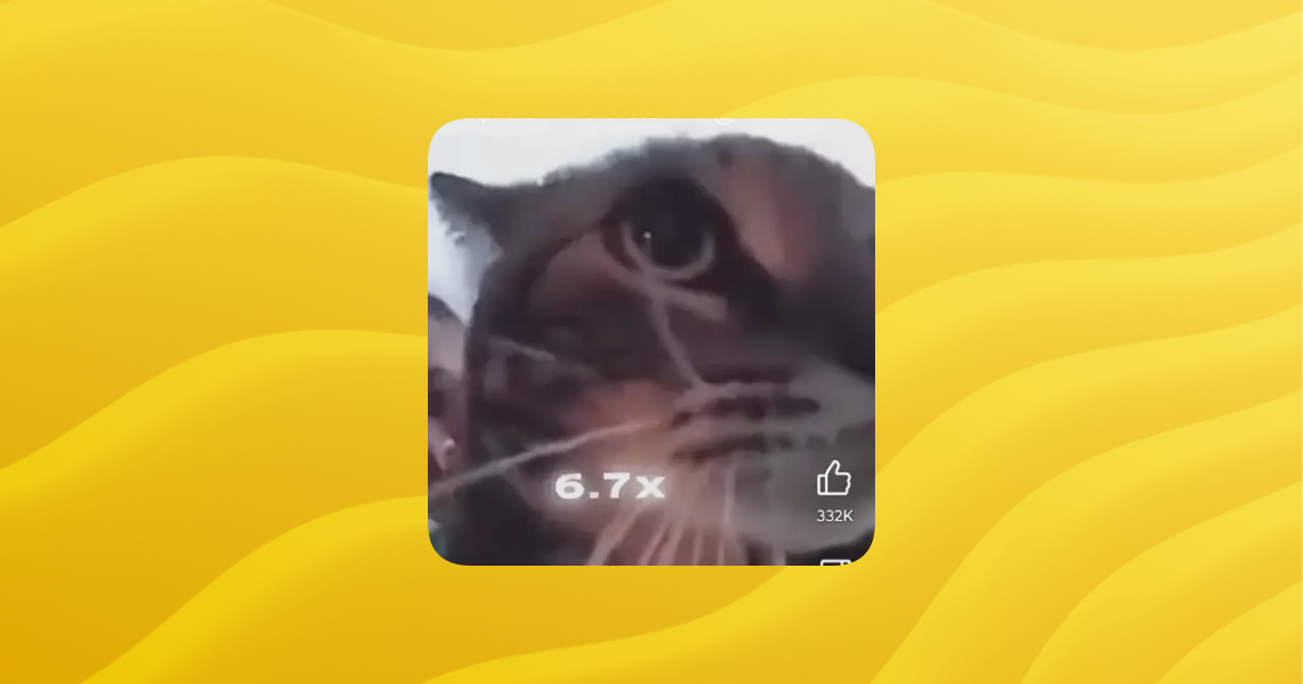 Overview - Sussy Studios - Guilded