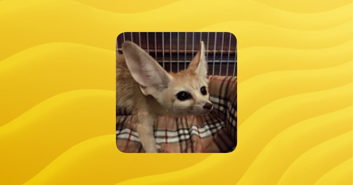 Overview - pancakity :P - Guilded