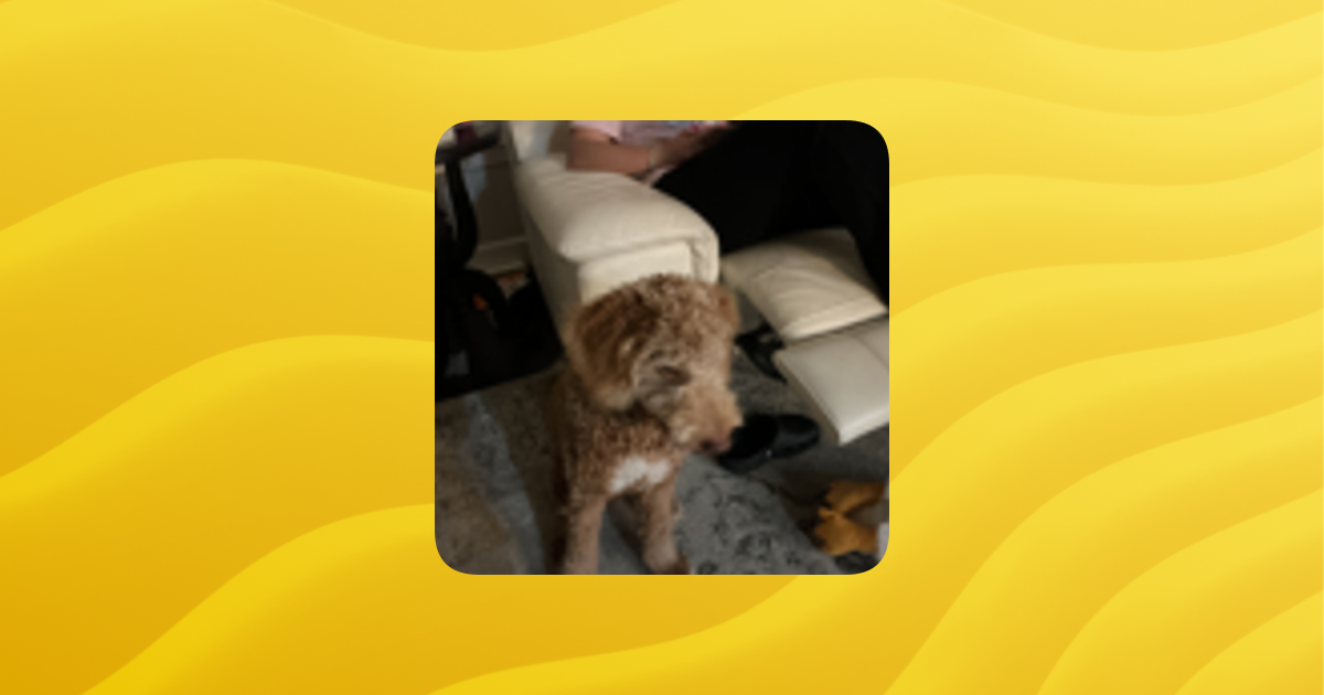 Just a normal game - Guilded