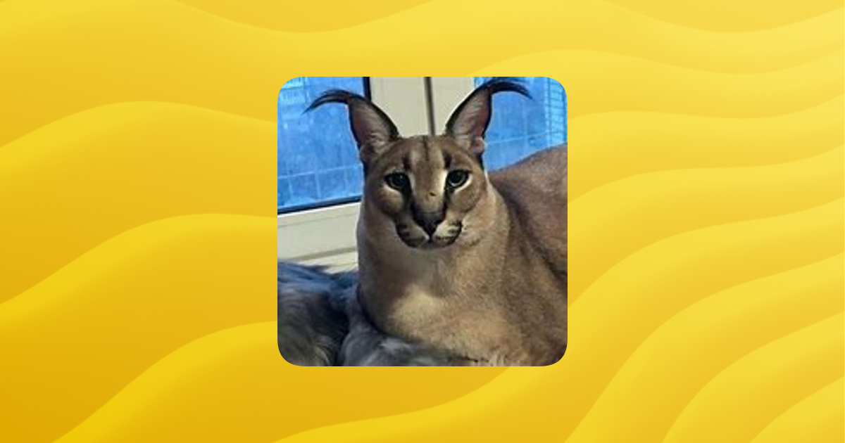 Overview - FlopDioxed - Guilded