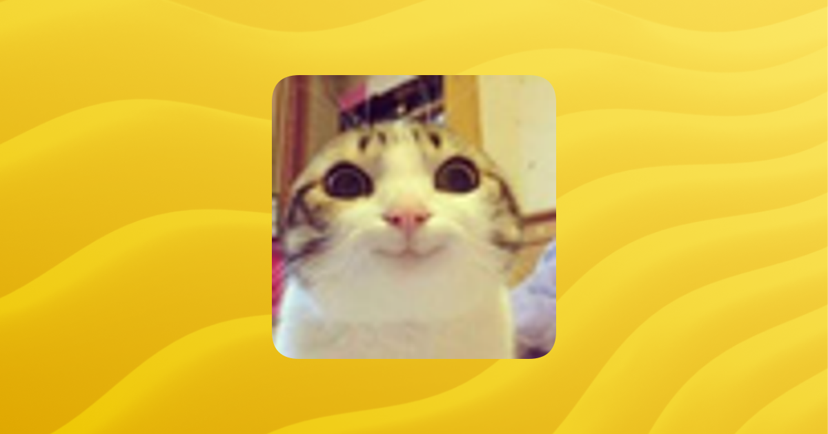 Mr Cats Community 2 - Guilded