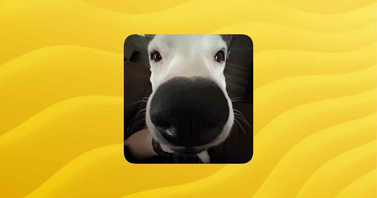 Tommy - Members - Guilded