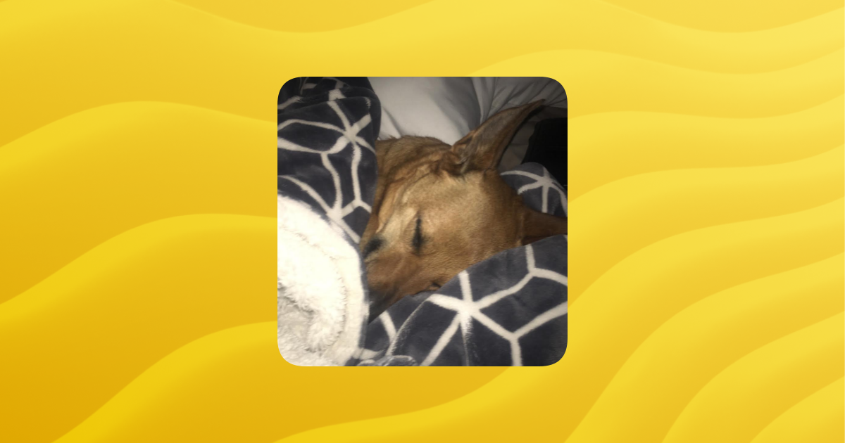 Overview - Stella’s Night Nap - Guilded