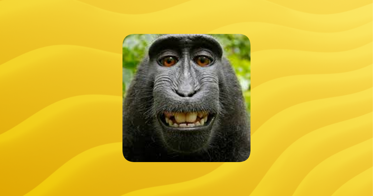 Monkey Town - Guilded