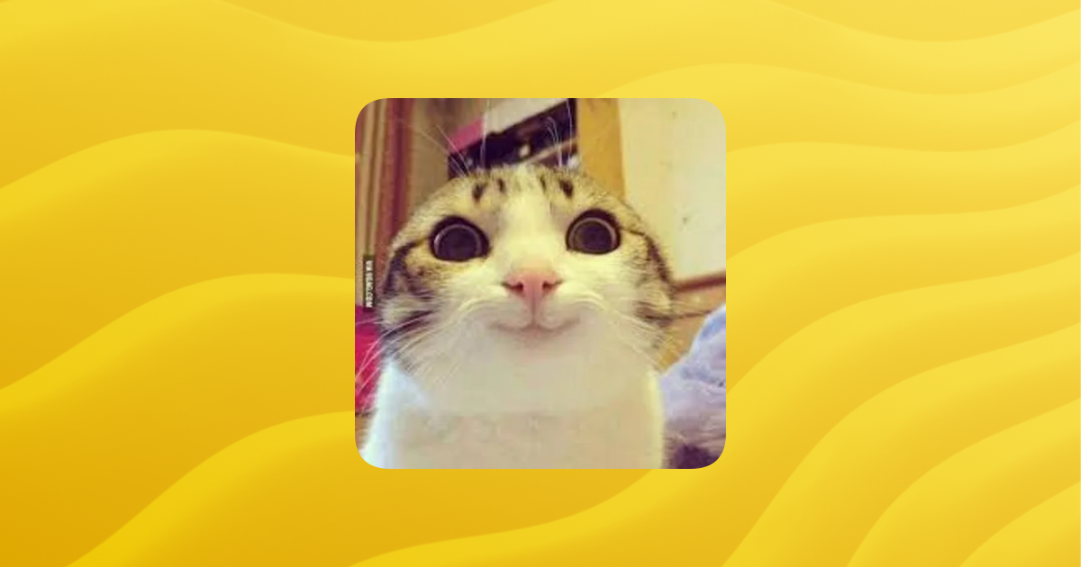 Overview - Mr Cats Community (Official) - Guilded