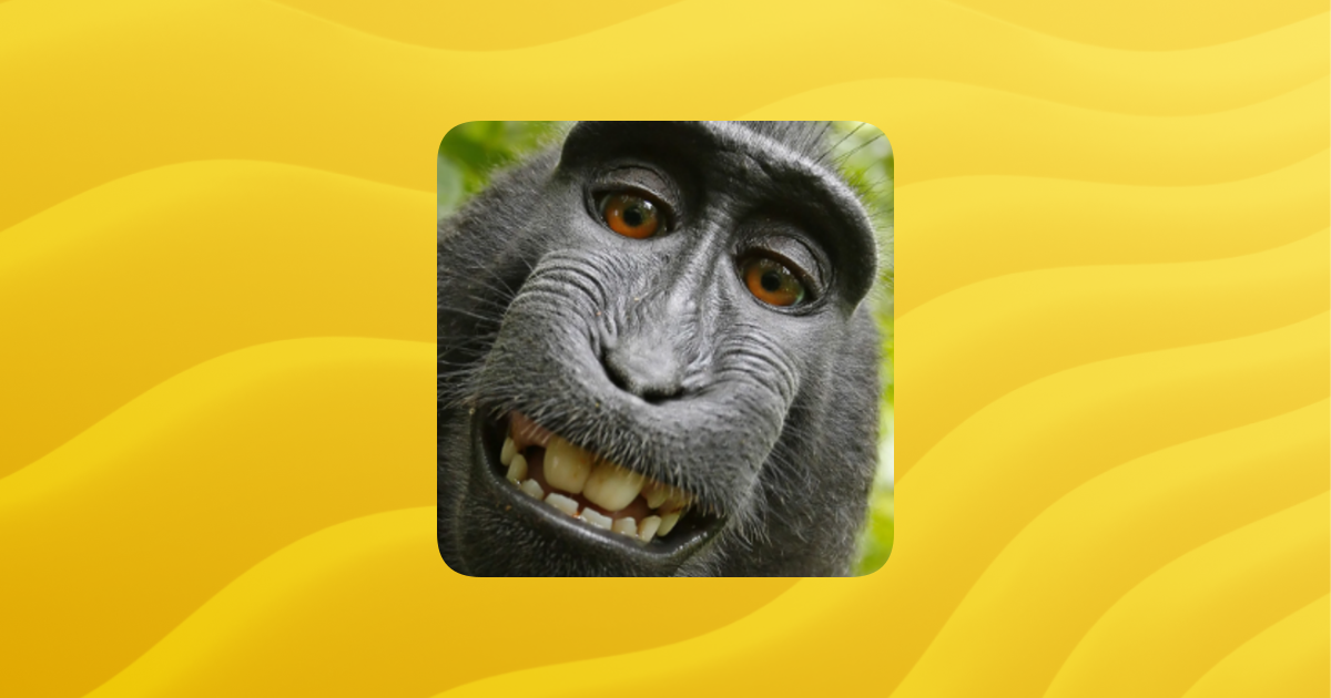 THE monkey group - Guilded