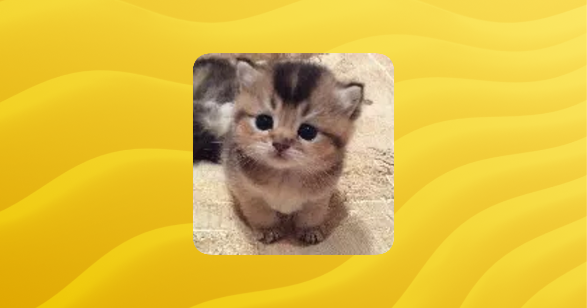 cat lovers :D - Guilded