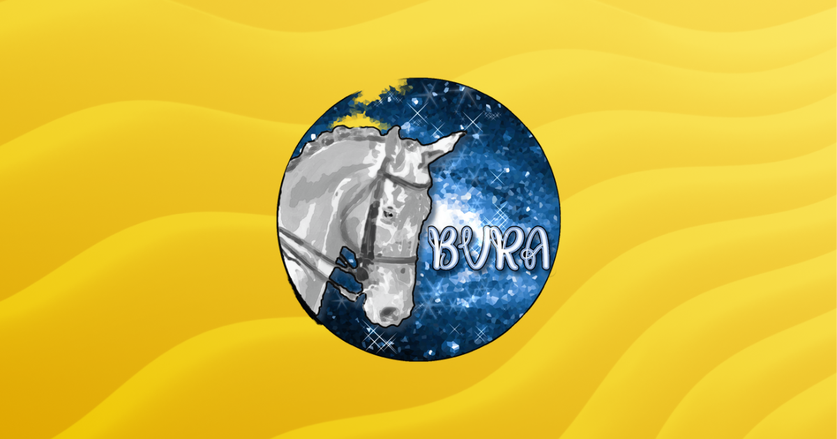 Bella Vista Riding Academy - Guilded